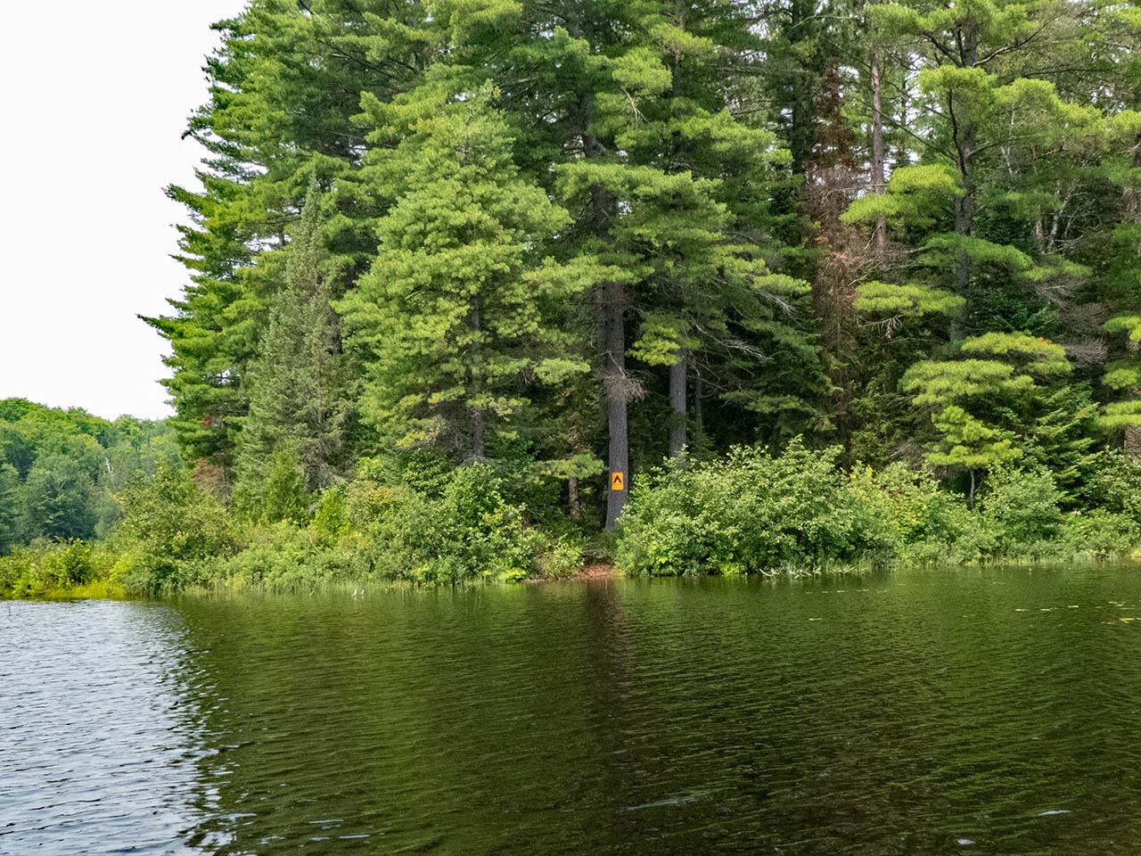 AlgonquinAdventures.com - Crotch Lake Campsite #11