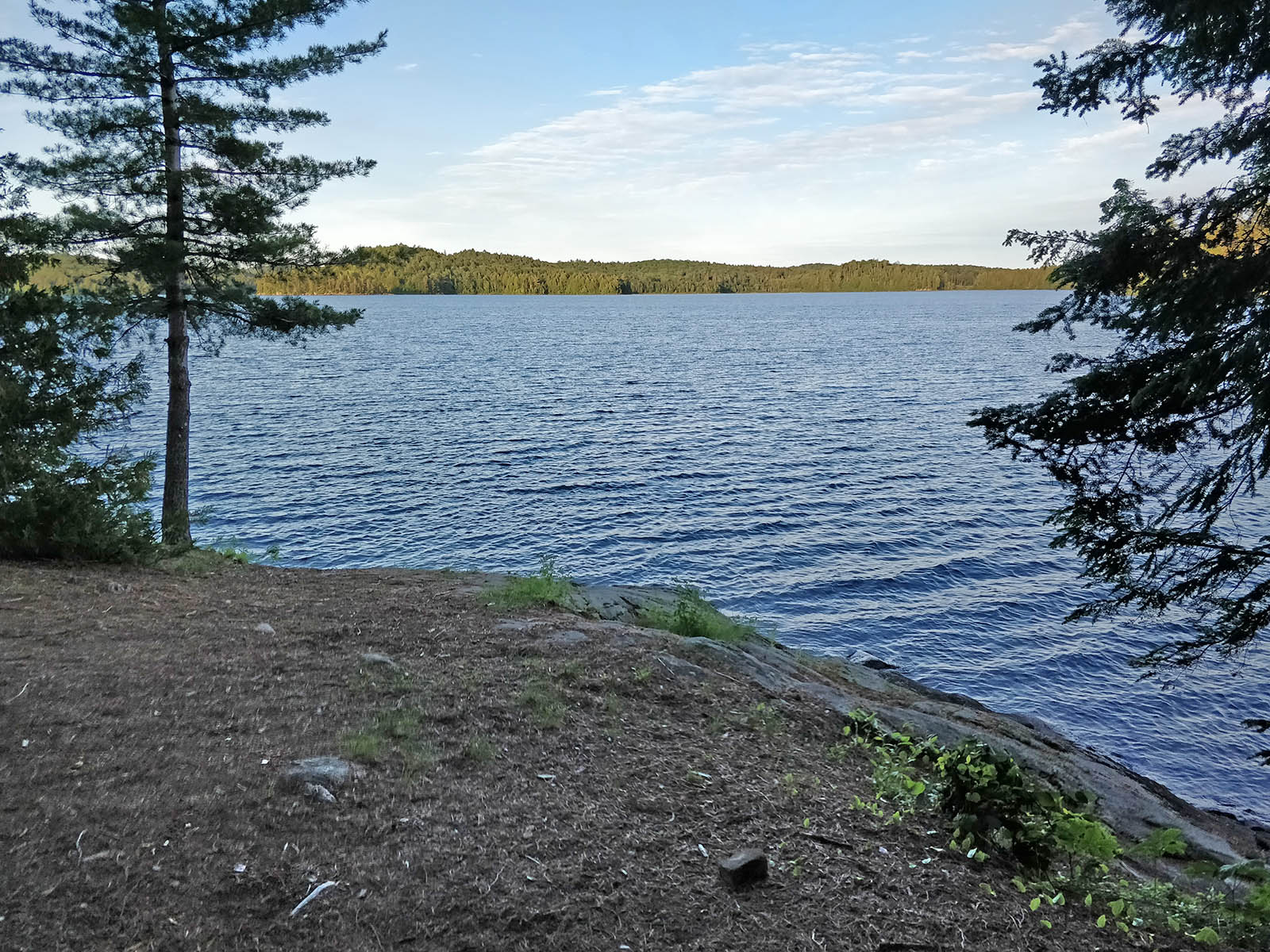 AlgonquinAdventures.com - North Tea Lake Campsite #67