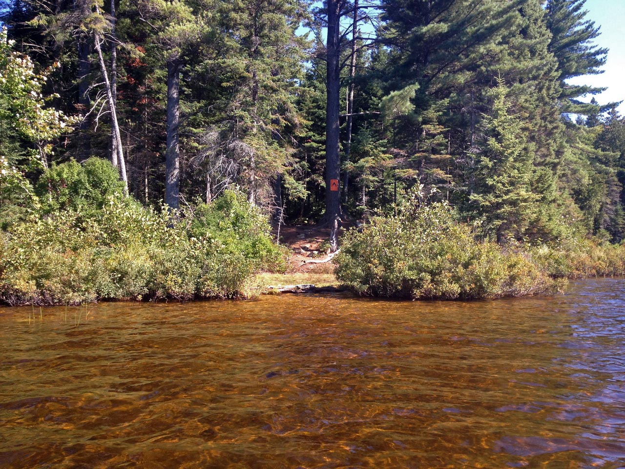 AlgonquinAdventures.com - Raven Lake CS#2