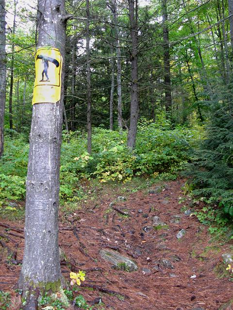 AlgonquinAdventures.com - Portage 730m between St. Andrews Lake and ...
