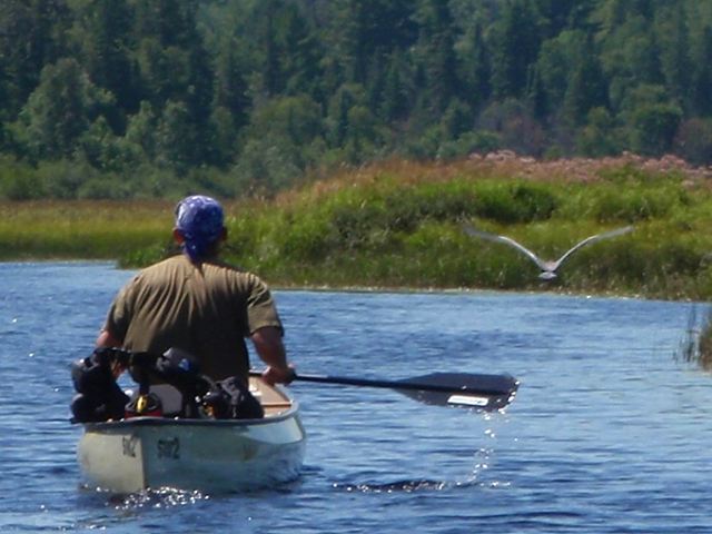 www.AlgonquinAdventures.com - Rory Leidecker - Cedar-Nipissing-Nadine ...